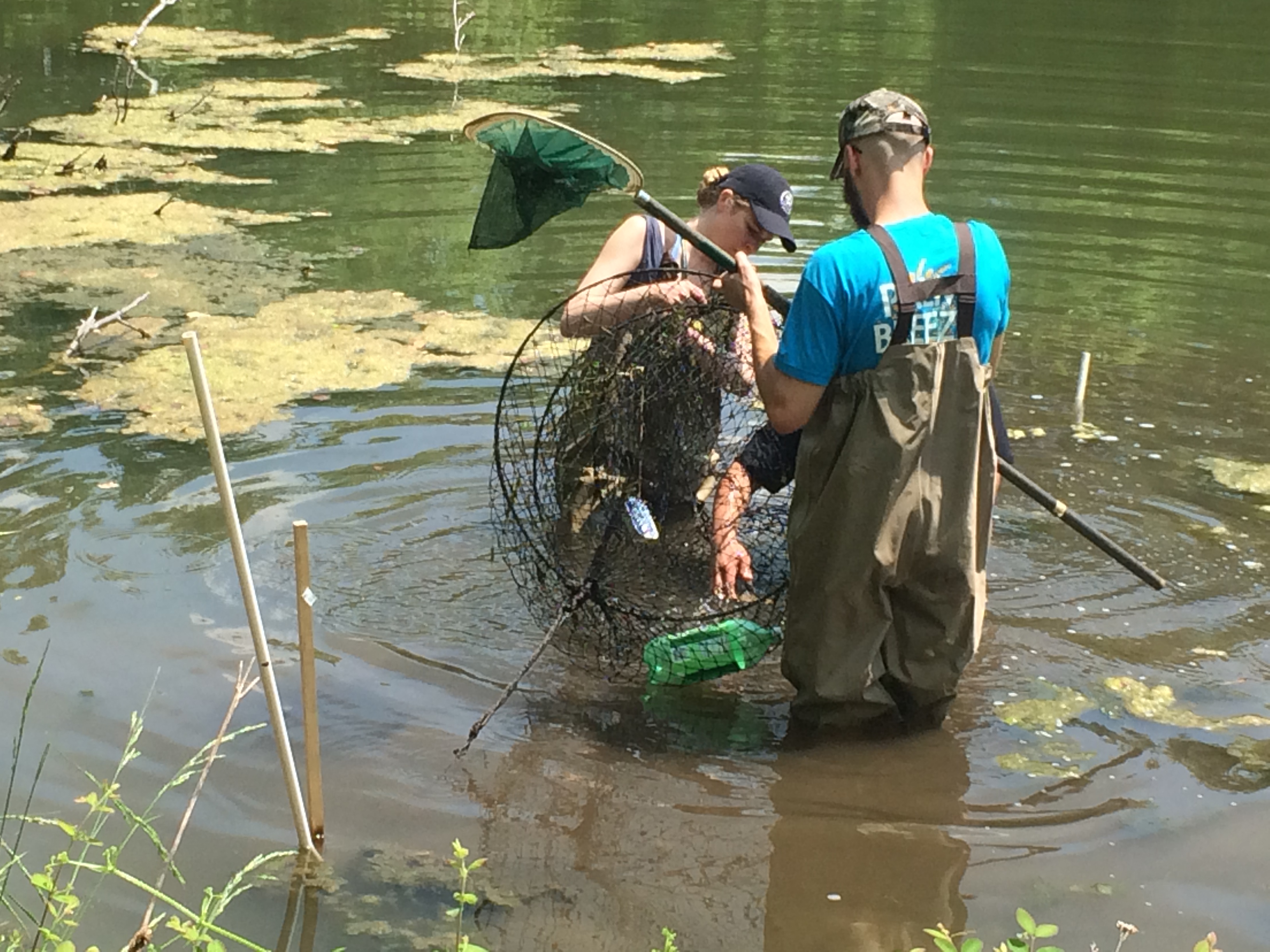 Field Skills in Ecology - Smithsonian Mason School of Conservation