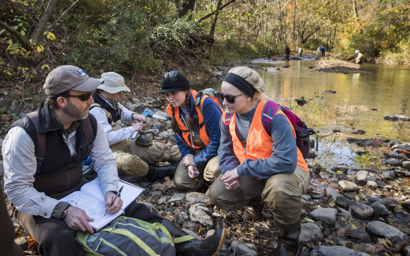 Undergraduate Residential Semester-Away Programs - Smithsonian Mason ...