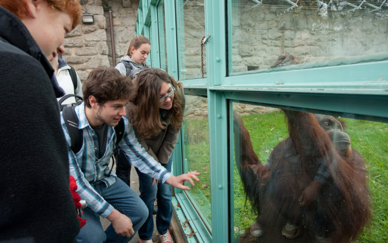 Undergraduate and Graduate Courses - Smithsonian Mason School of ...