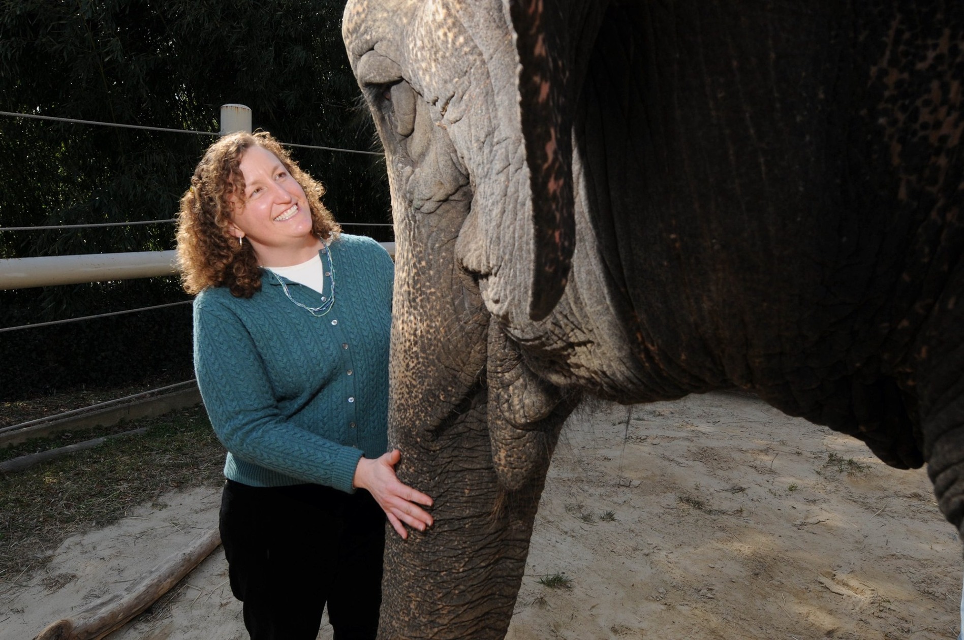 School of Integrative Studies Associate Professor Elizabeth Freeman ...